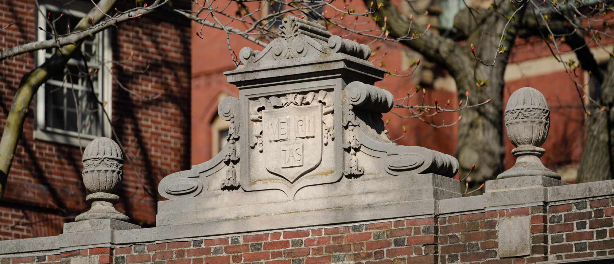 Harvard Sues Trump Admin Over Foreign Student Revocation Conservative