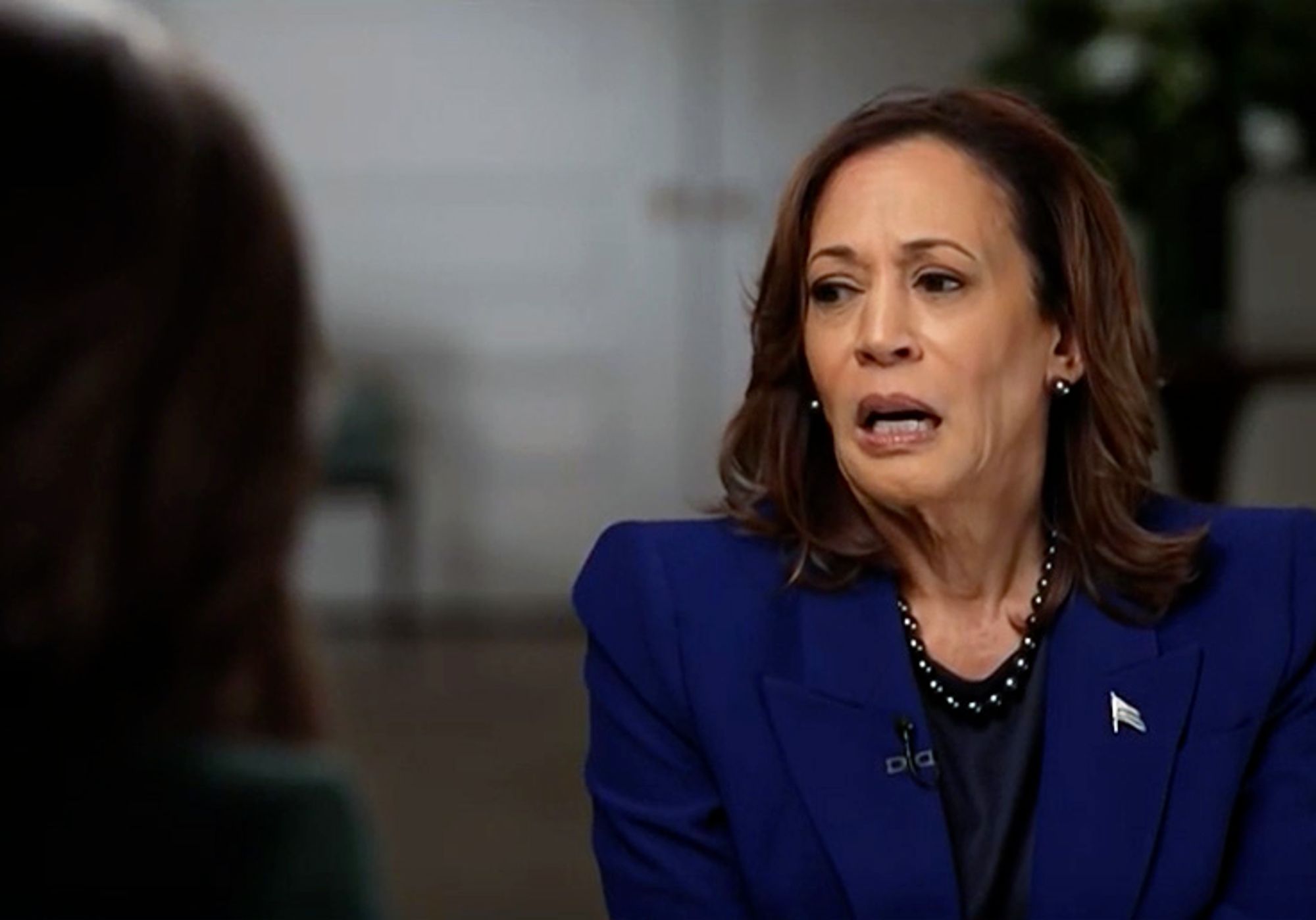NBC News Begged Kamala Harris To 'Define' Herself. She Declined ...