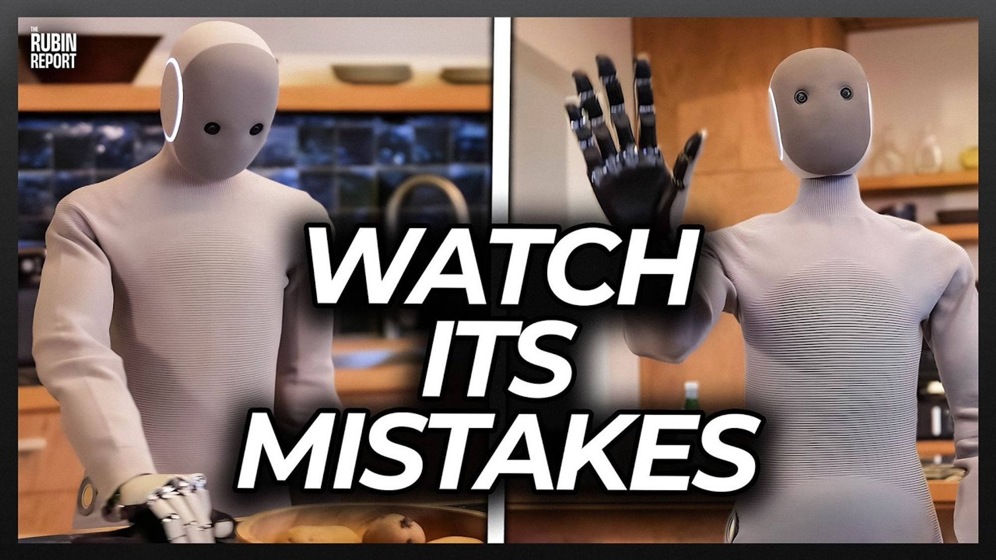 Neo the Robot Is Now Available, But There Is One Huge Problem ...