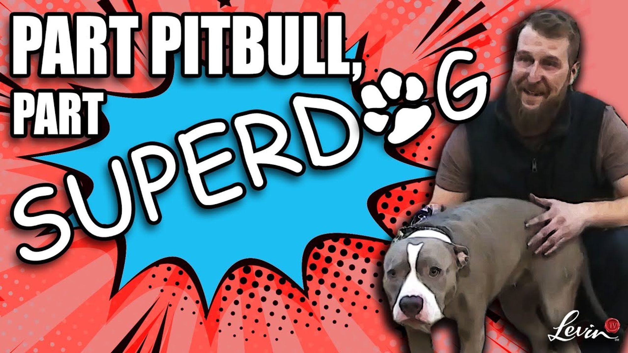 Part Pit Bull, Part Super-Dog - Conservative Review