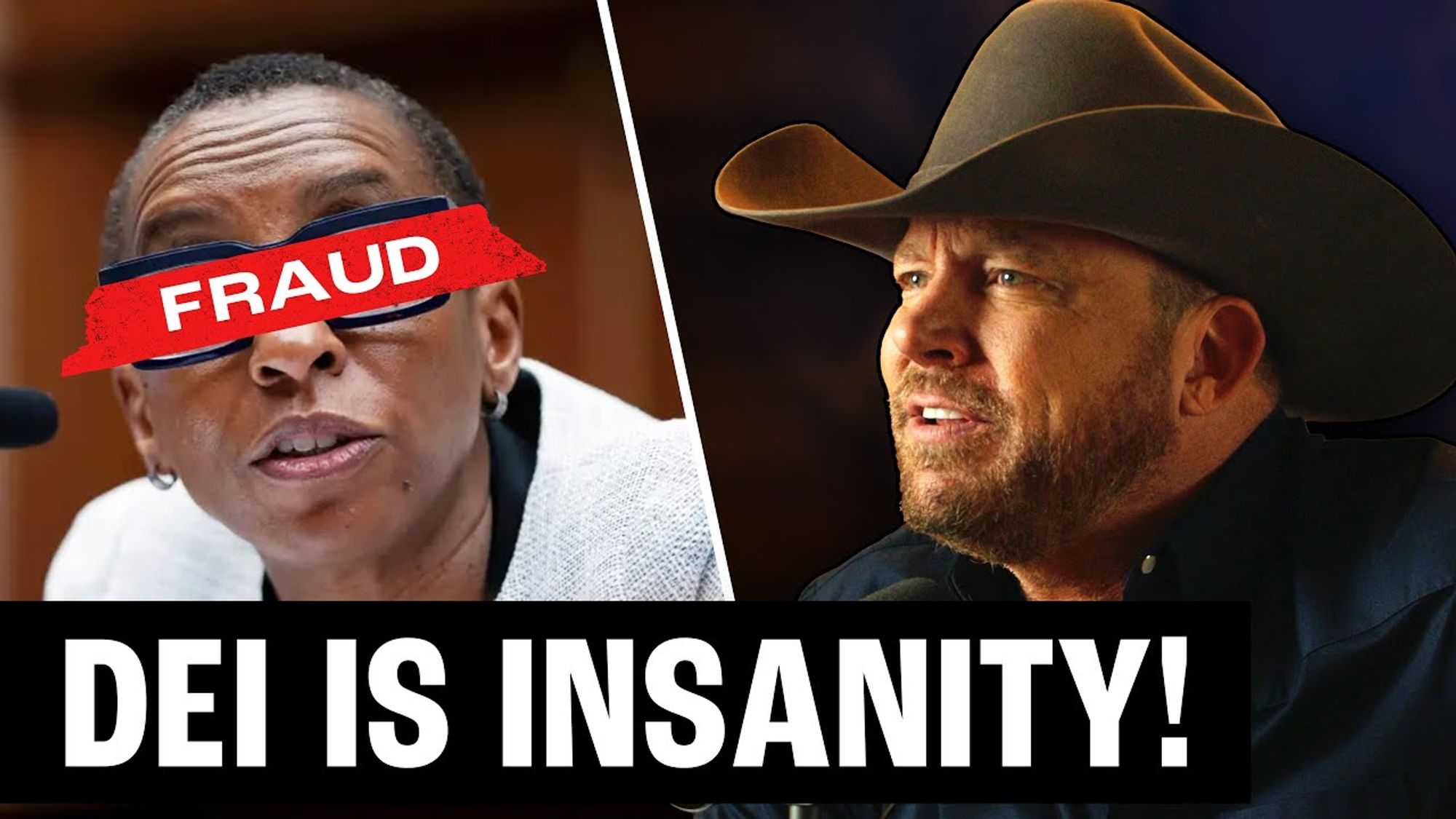 Diversity, Equity, & Inclusion – Fake Fairness is Destroying Excellence ...