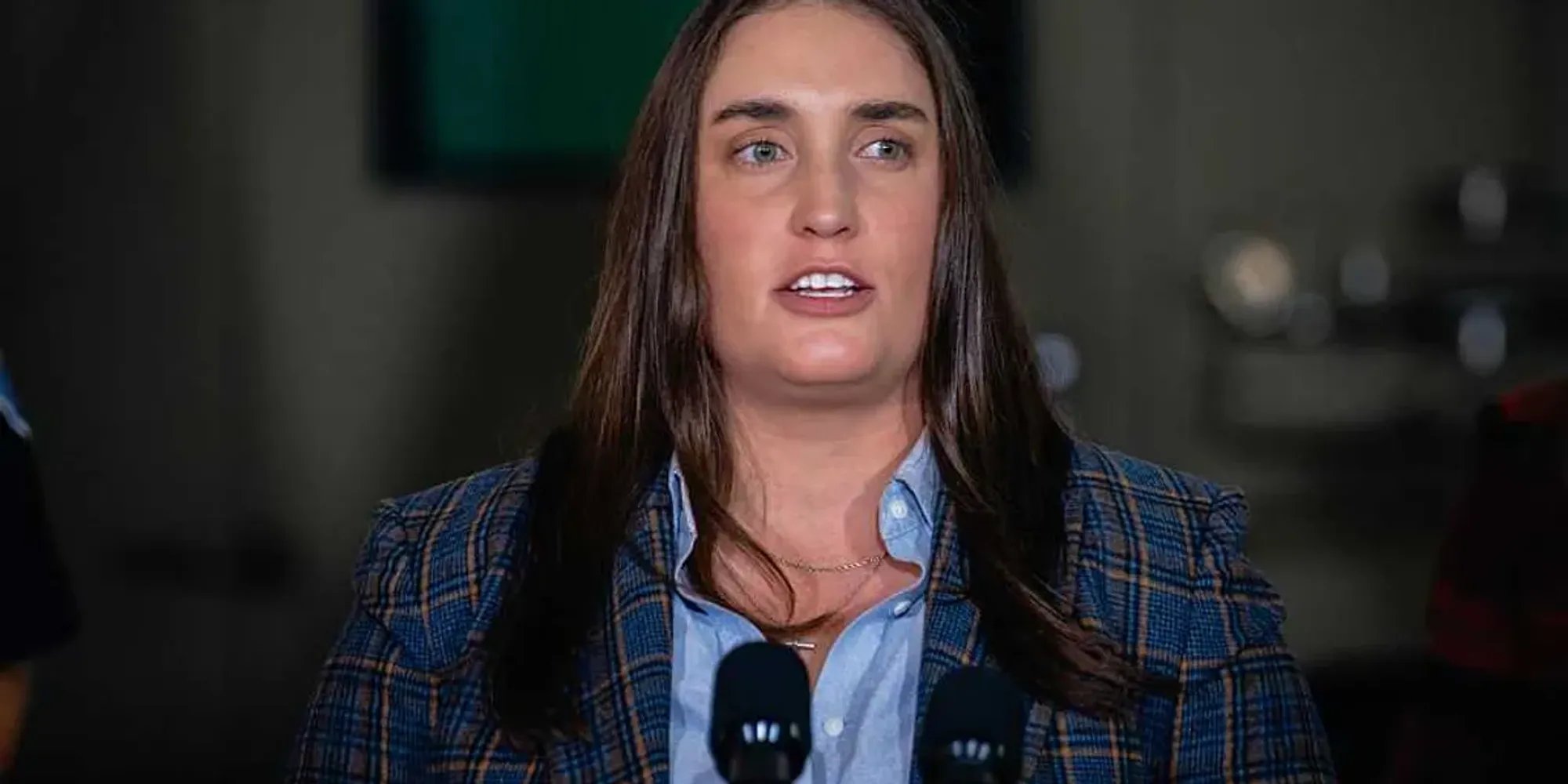 ICE leader goes for Congress: Sheahan dumps desk for battle against 43 ...