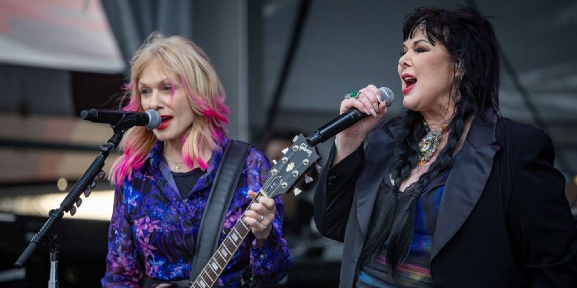 Heart singer Ann Wilson announces removal of 'something that ... was ...
