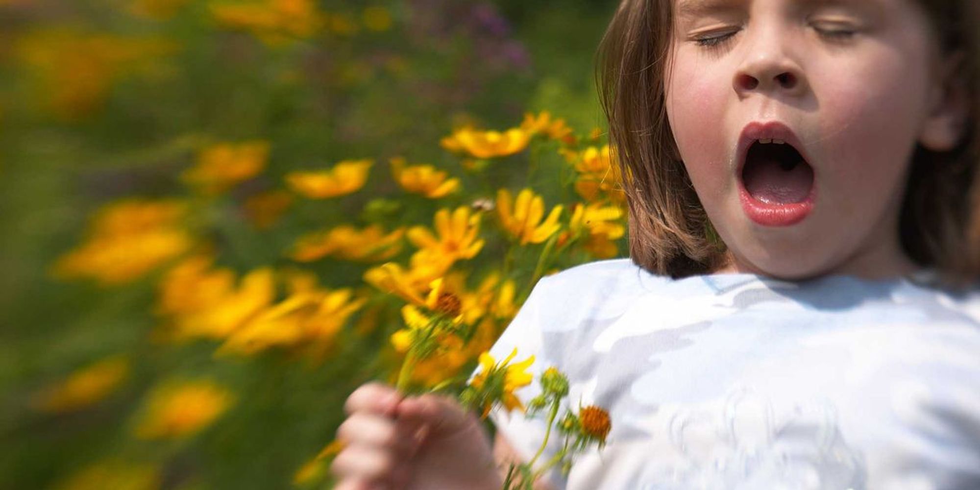 The top 5 apps to beat your seasonal allergies before they beat you ...
