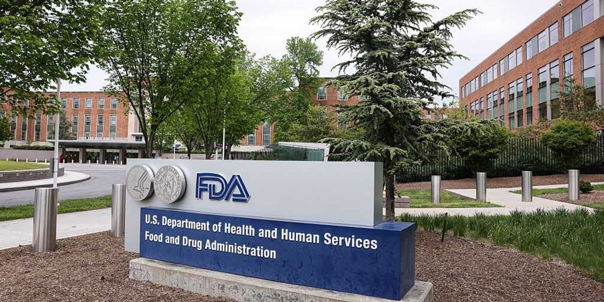 The FDA seems to care more about celebrities than sick Americans ...