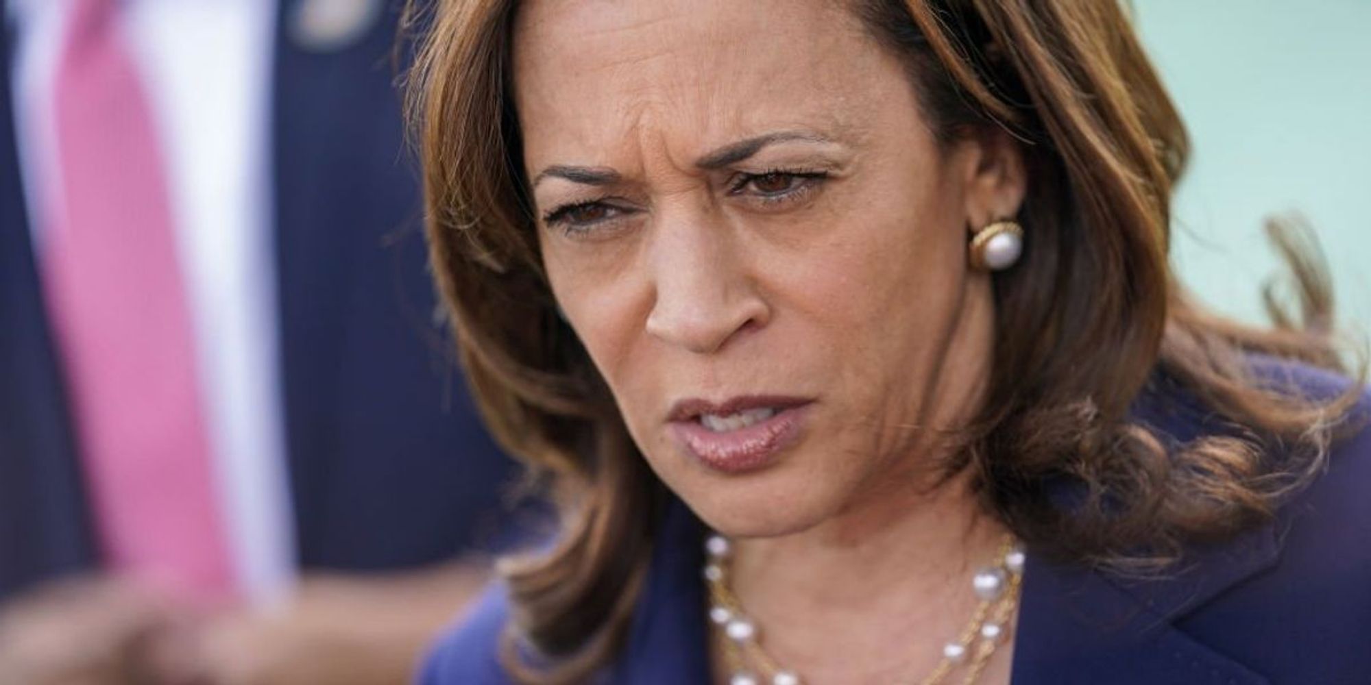White people should face 'accountability' if Harris does not win ...